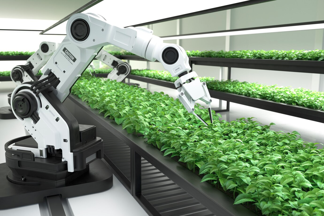 AI-Driven Robots in the Fields: The Future of Farming? – ferit.ai